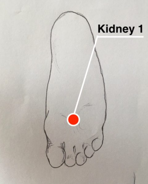 The Kidney Meridian | Naturegrooves