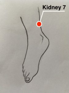 The Kidney Meridian | Naturegrooves