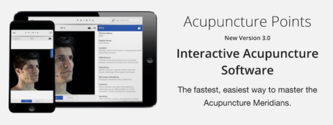 POINTS Review: Acupuncture Points and Charts | Naturegrooves