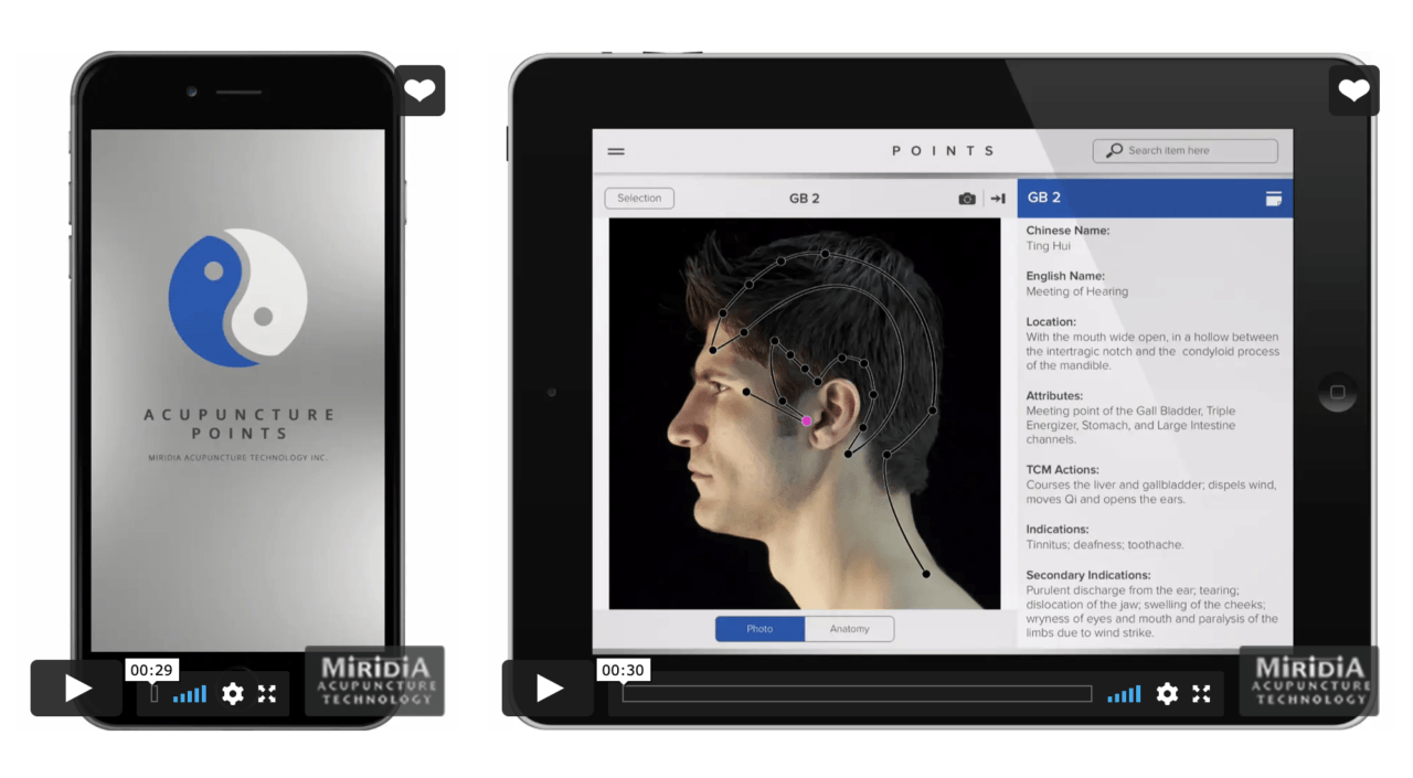 POINTS Review: Acupuncture Points and Charts | Naturegrooves