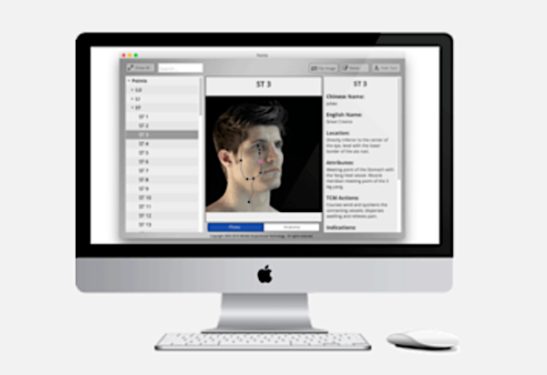 POINTS Review: Acupuncture Points and Charts | Naturegrooves