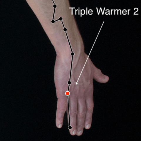 Acupressure Strengthening and Sedating Points - Naturegrooves