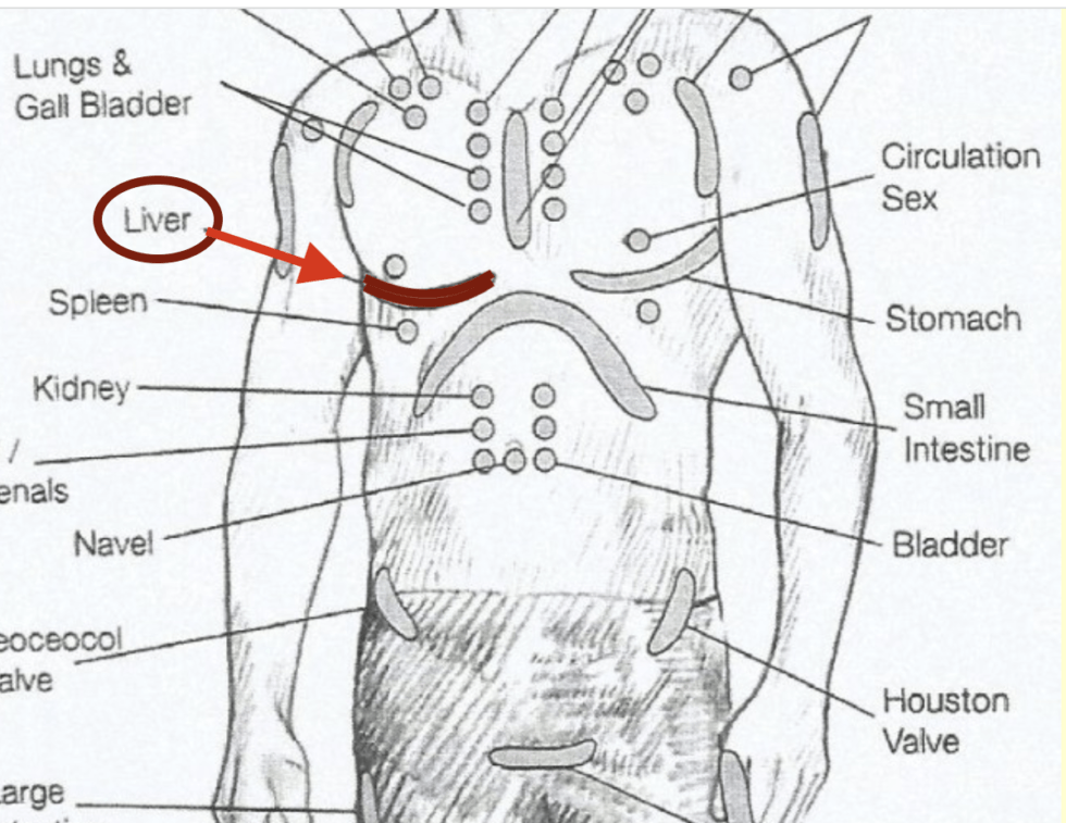 Improving Eczema Symptoms with Acupressure | Naturegrooves